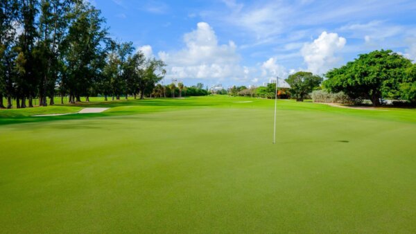 USGA Graded Sand | Turf Sand | Top Dressing Sand | River Sands