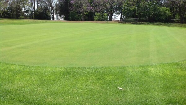 USGA Graded Sand | Turf Sand | Top Dressing Sand | River Sands