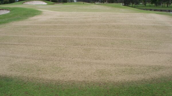 USGA Graded Sand | Turf Sand | Top Dressing Sand | River Sands
