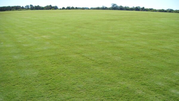 USGA Graded Sand | Turf Sand | Top Dressing Sand | River Sands