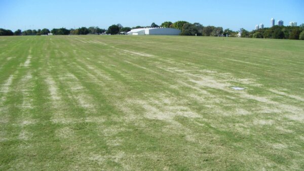 USGA Graded Sand | Turf Sand | Top Dressing Sand | River Sands