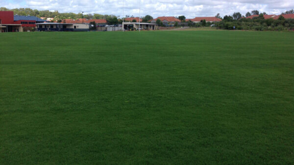 USGA Graded Sand | Turf Sand | Top Dressing Sand | River Sands