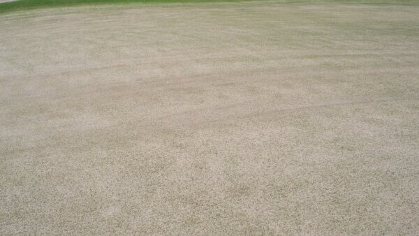 USGA Graded Sand | Turf Sand | Top Dressing Sand | River Sands